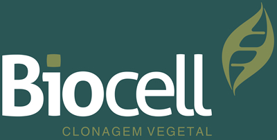 Tipos de Mudas | Biocell